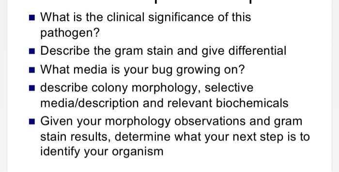 Solved Staphylococcus aureus Staphylococcus epidermidis | Chegg.com Solved Staphylococcus aureus Staphylococcus epidermidis | Chegg.com