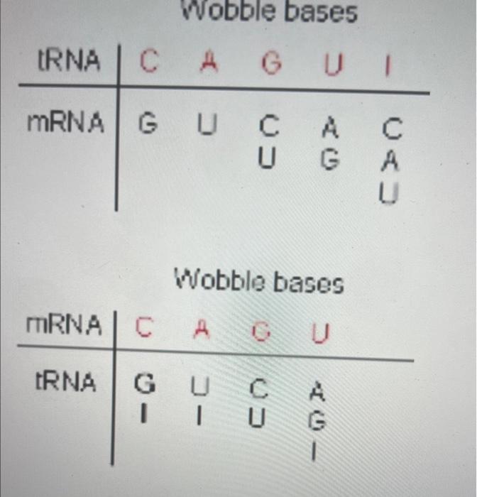 Solved Taking Into Account Your Knowledge Of Wobble Rules