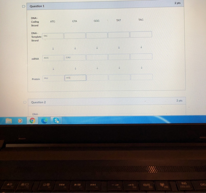 Solved 2 pts Question 1 DNA- Coding Strand ATG TAG GGG GTA | Chegg.com