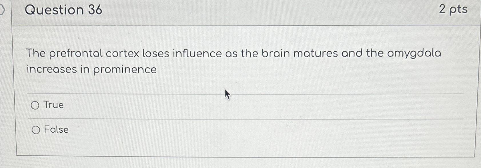 Solved Question 362 ﻿ptsThe prefrontal cortex loses | Chegg.com