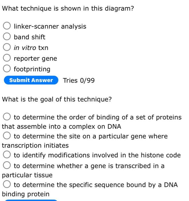 Solved RANDOM CLEAVAGE BY NUCLEASE \begin{tabular}{l|l} ∗= & | Chegg.com