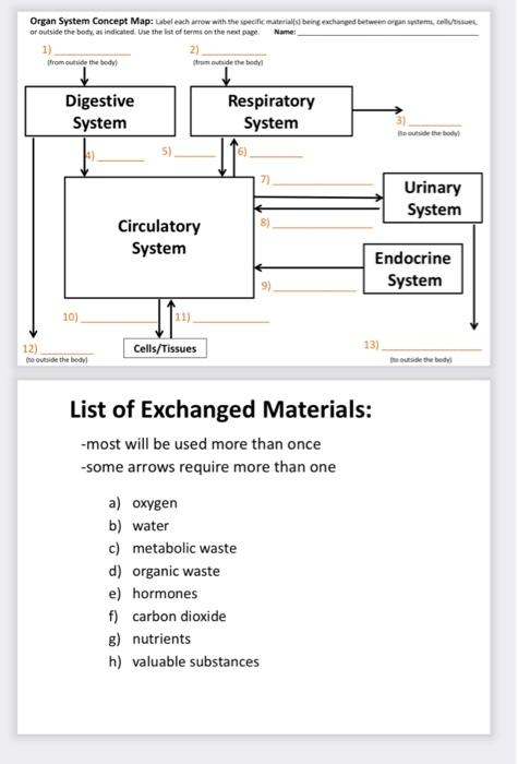 Solved Organ System Concept Map: Label each arrow with the | Chegg.com