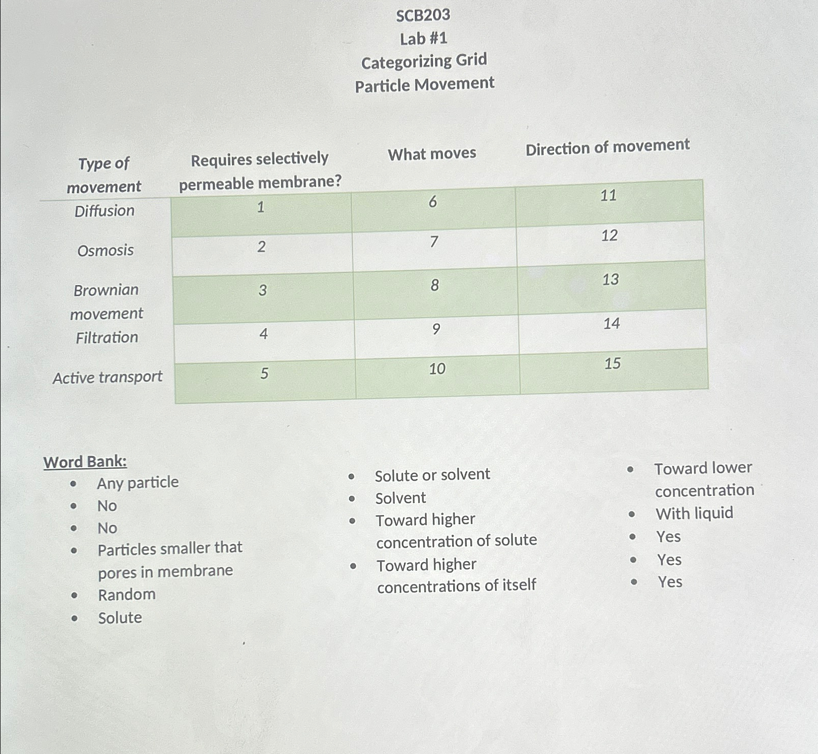 Solved Match using word bank | Chegg.com