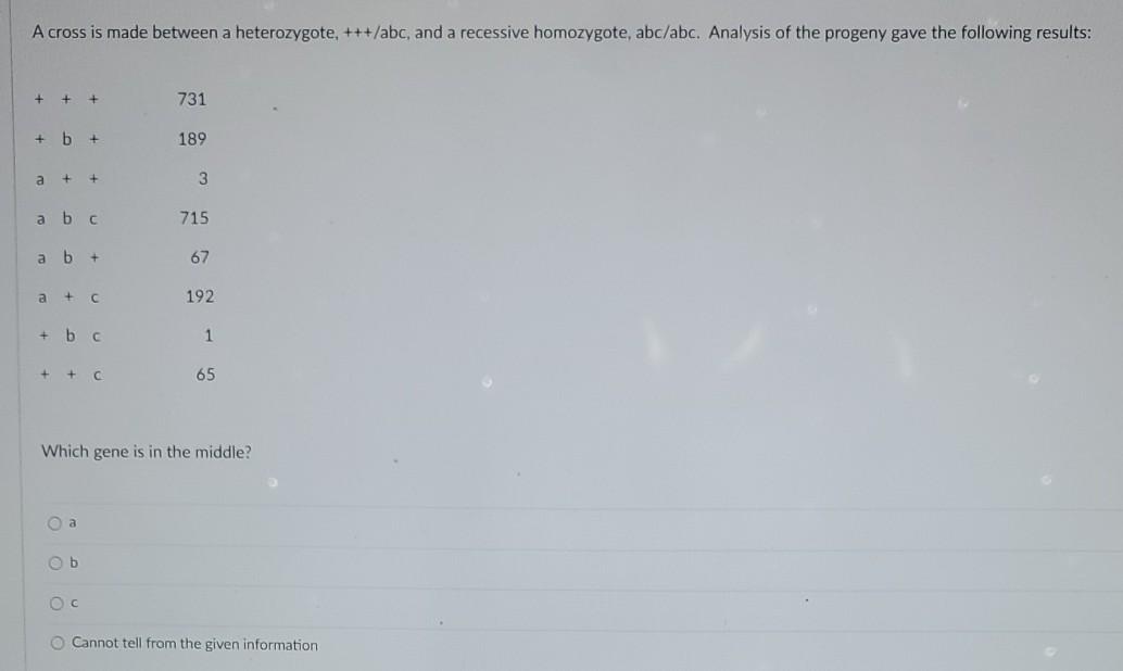 Solved In Drosophila melanogaster, curly wings is a dominant | Chegg.com