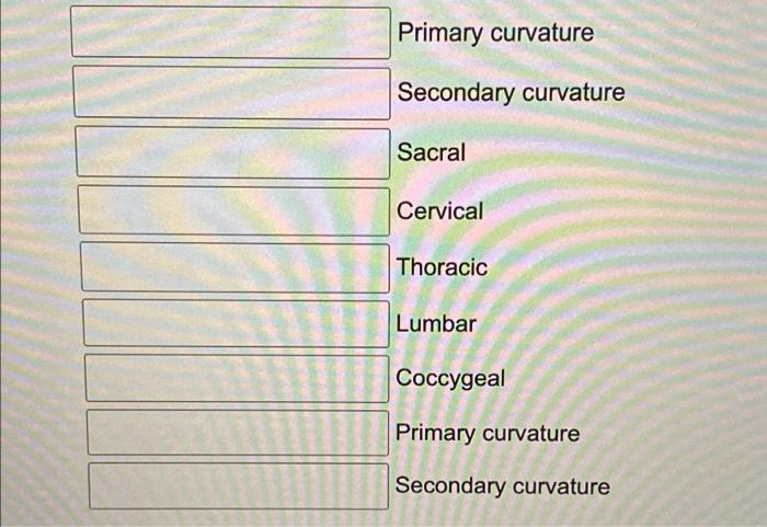 Solved 3) Curvatures Regions 1 - 5 6 2. 3 — -7 8 4 - - 9 | Chegg.com