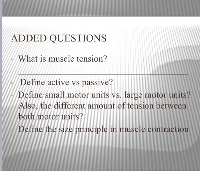 Solved ADDED QUESTIONS What is muscle tension? Define active | Chegg.com
