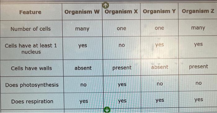 Solved After carefully analyzing and interpreting the data | Chegg.com