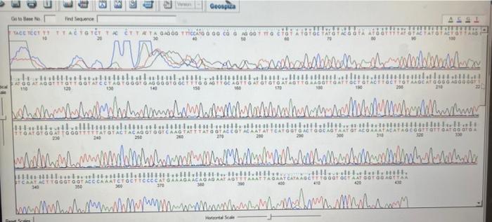 Solved Compare forward and reverse sequences. Open both your | Chegg.com