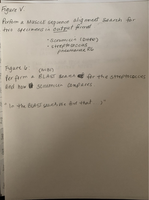 Figure V. Perform a MUSCLE sequence alignment search | Chegg.com