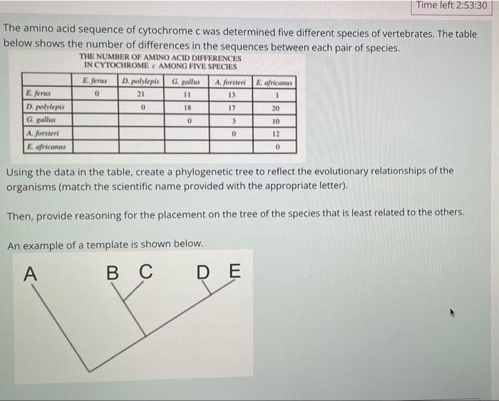 Solved Time left 2:53:30 The amino acid sequence of | Chegg.com
