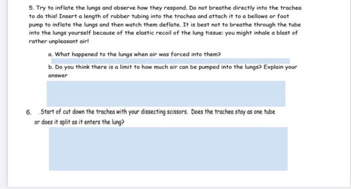 LAB-Dissection of Sheep's Pluck Purpose: Today we | Chegg.com