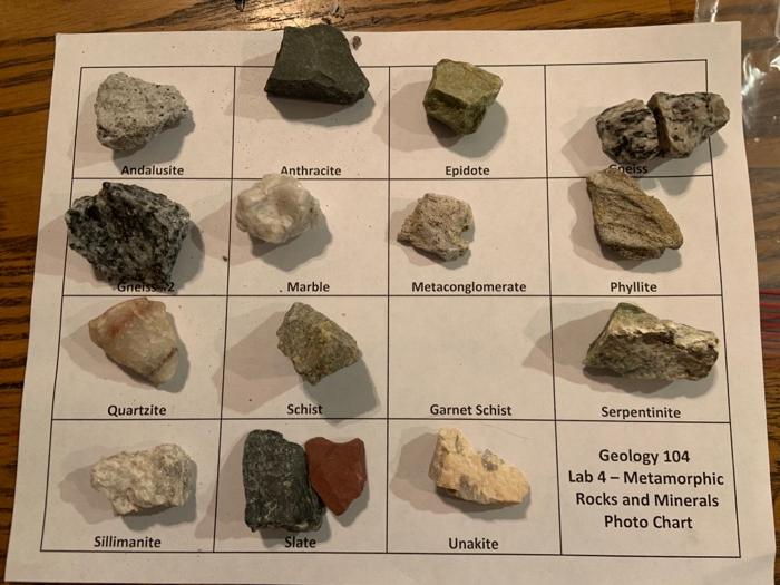 Solved Name Texture Visible Minerals Protolith Metamorphic | Chegg.com