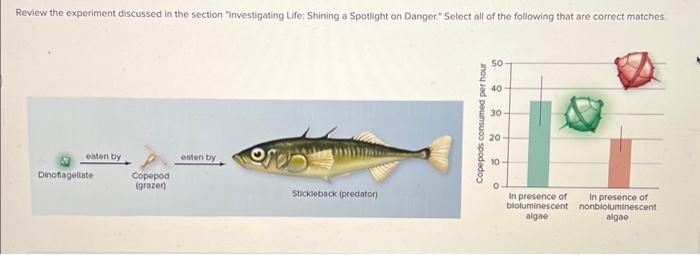 Solved Review the experiment discussed in the section | Chegg.com