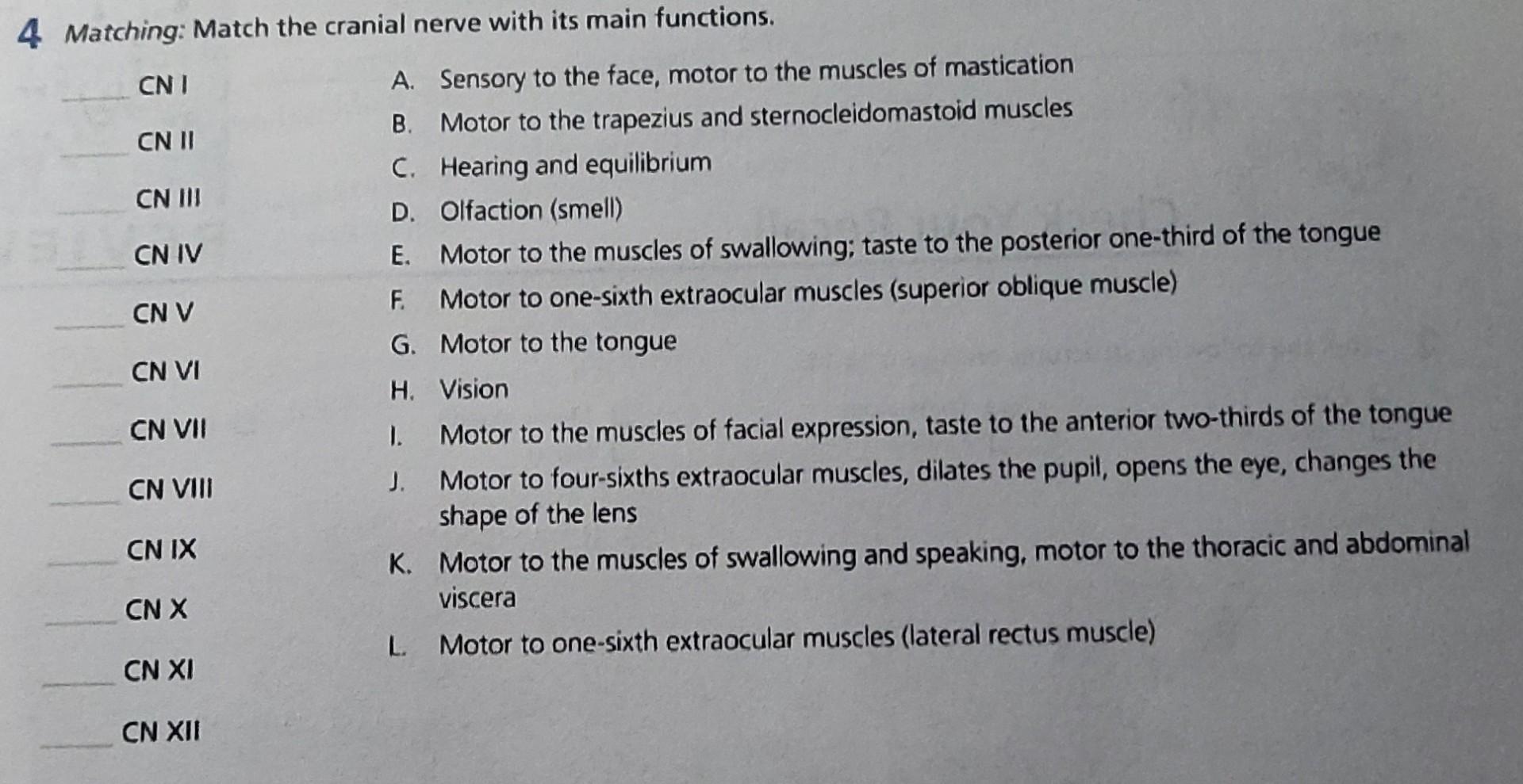 Solved 4 Matching: Match the cranial nerve with its main | Chegg.com