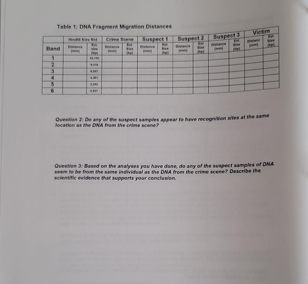 Solved Table 1: DNA Fragment Migration Distances Question 2: | Chegg.com