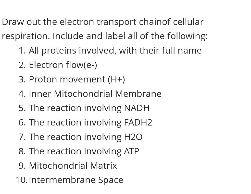 Solved Draw out the electron transport chainof cellular | Chegg.com
