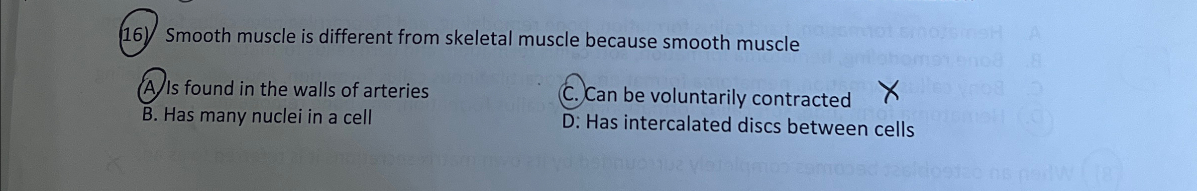 Solved Smooth muscle is different from skeletal muscle | Chegg.com