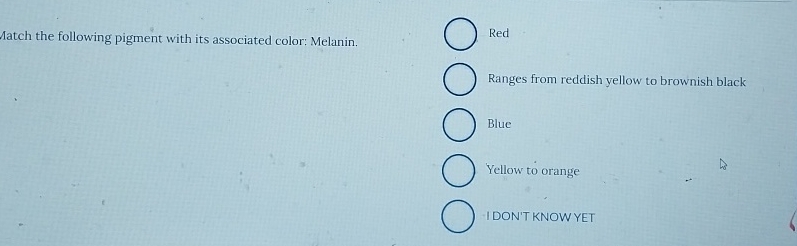 Solved Match the following pigment with its associated | Chegg.com