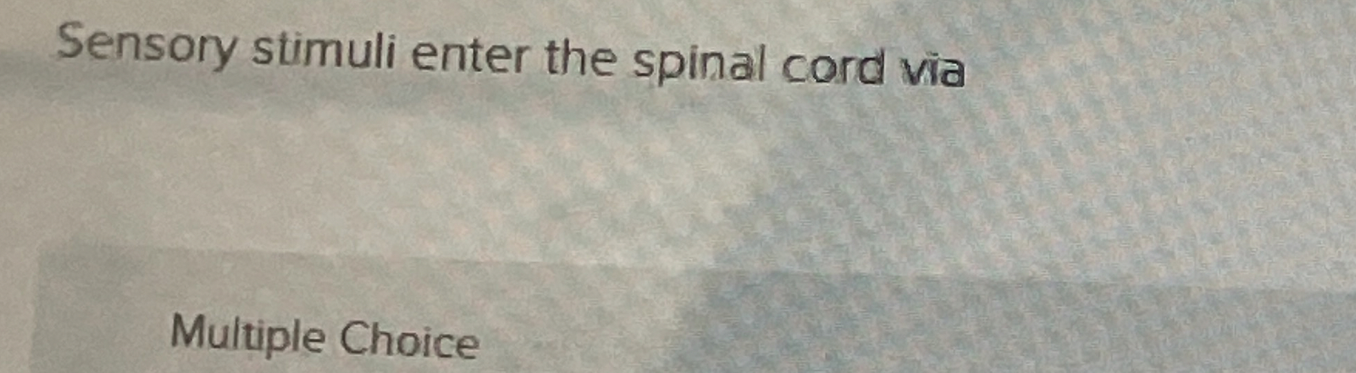 Solved Sensory stimuli enter the spinal cord viaMultiple | Chegg.com