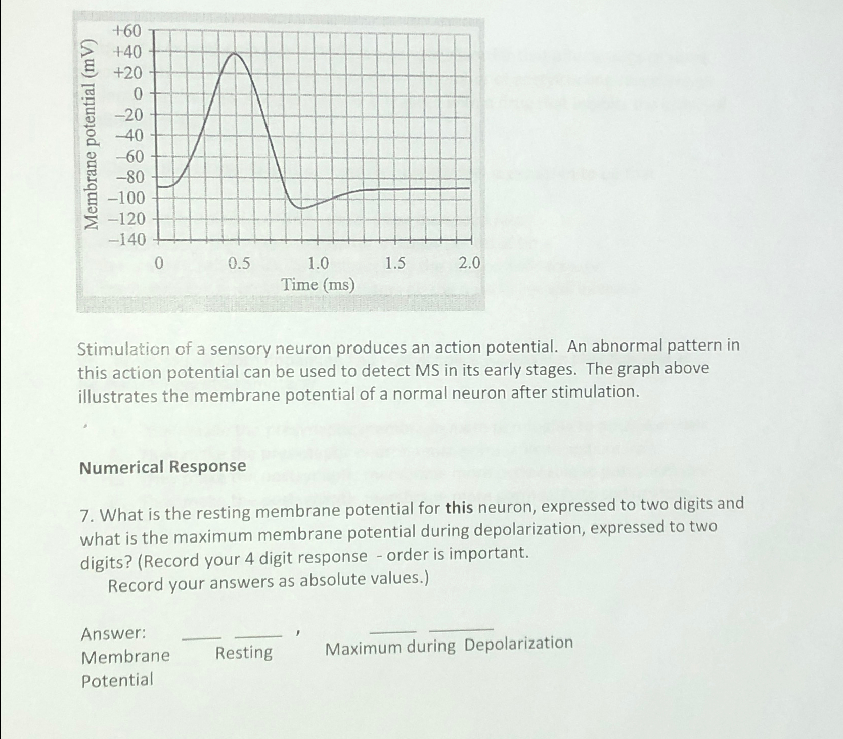 Solved Stimulation of a sensory neuron produces an action | Chegg.com