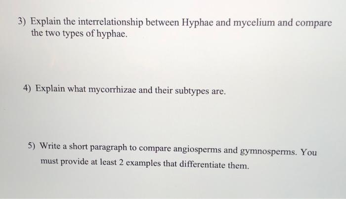Solved 3) Explain the interrelationship between Hyphae and | Chegg.com