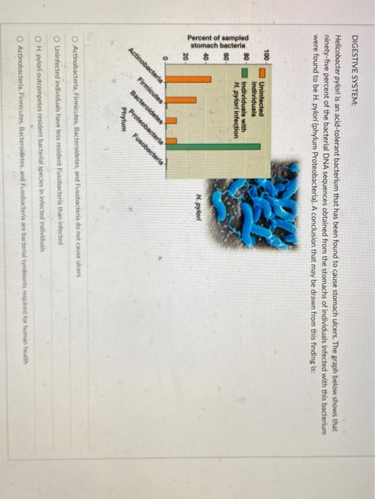 Solved DIGESTIVE SYSTEM: Helicobacter pylori is an | Chegg.com