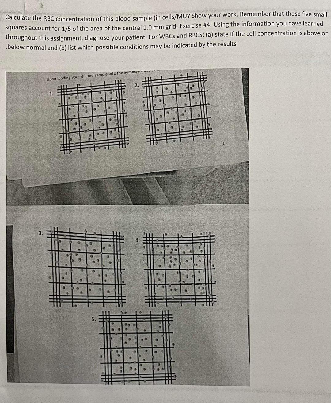 Solved Calculate the RBC concentration of this blood sample | Chegg.com