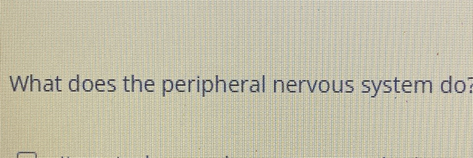 Solved What does the peripheral nervous system do | Chegg.com