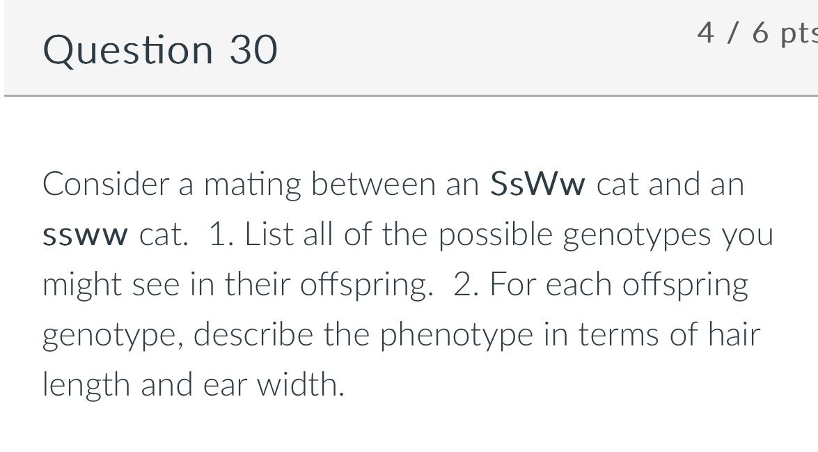 Solved Question 3046ptConsider a mating between an SsWw cat | Chegg.com