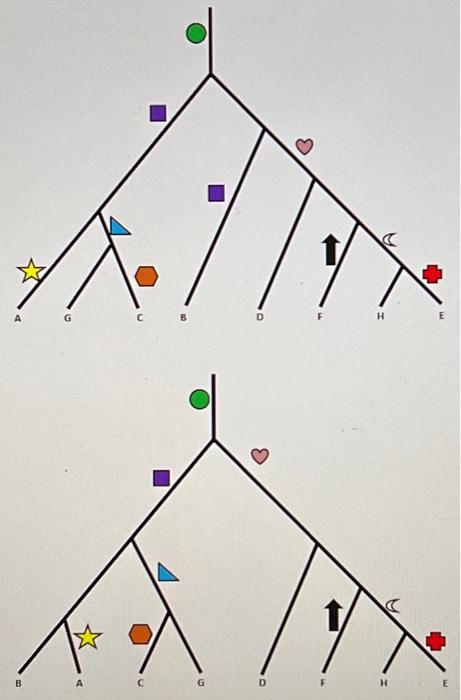 Solved which of the following trees is the correct | Chegg.com