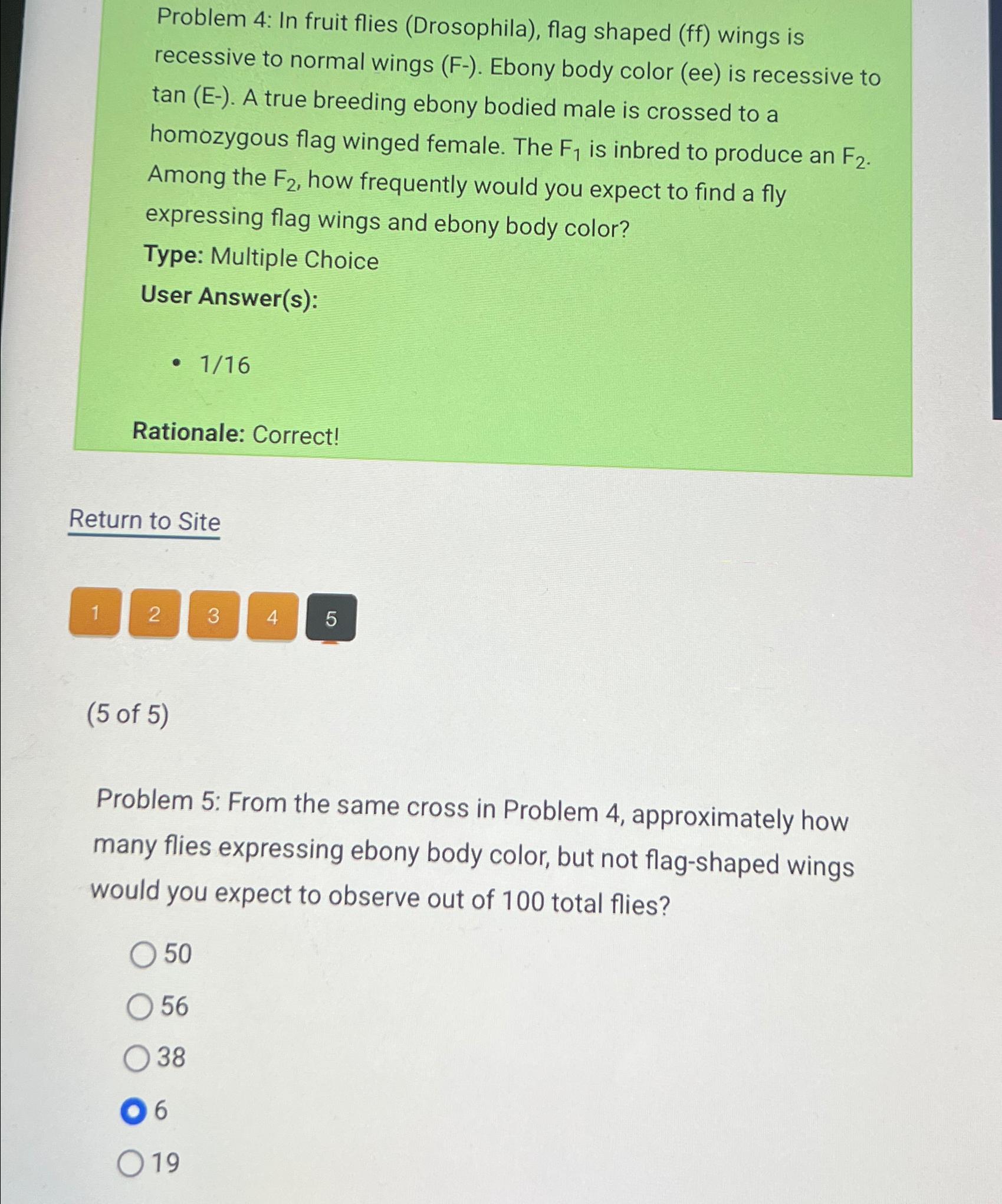 Solved Problem 4: In fruit flies (Drosophila), ﻿flag shaped | Chegg.com