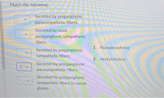 Solved Match the following: Secreted by preganglionic | Chegg.com
