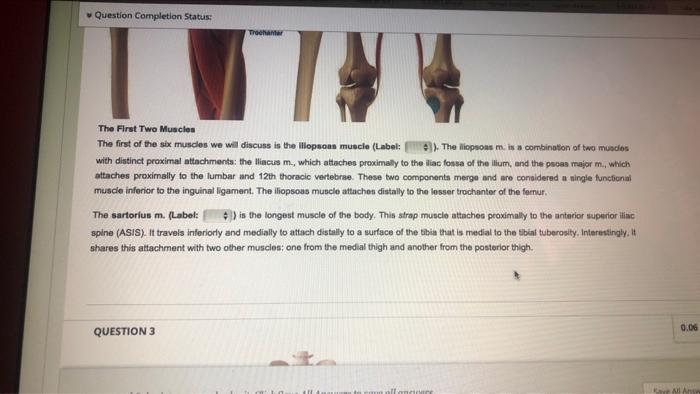 Solved Question Completion Status Labeling Pre-Lab Anterior | Chegg.com