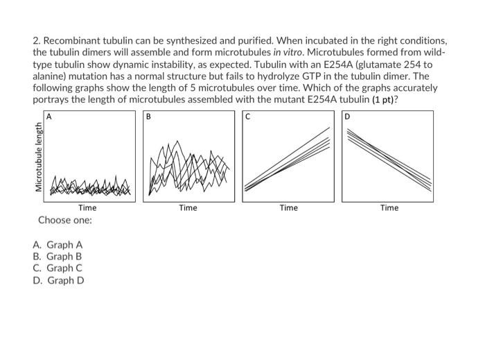 Solved 2. Recombinant tubulin can be synthesized and | Chegg.com