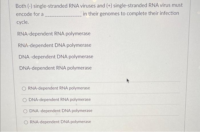 Solved Both (-) single-stranded RNA viruses and (+) | Chegg.com