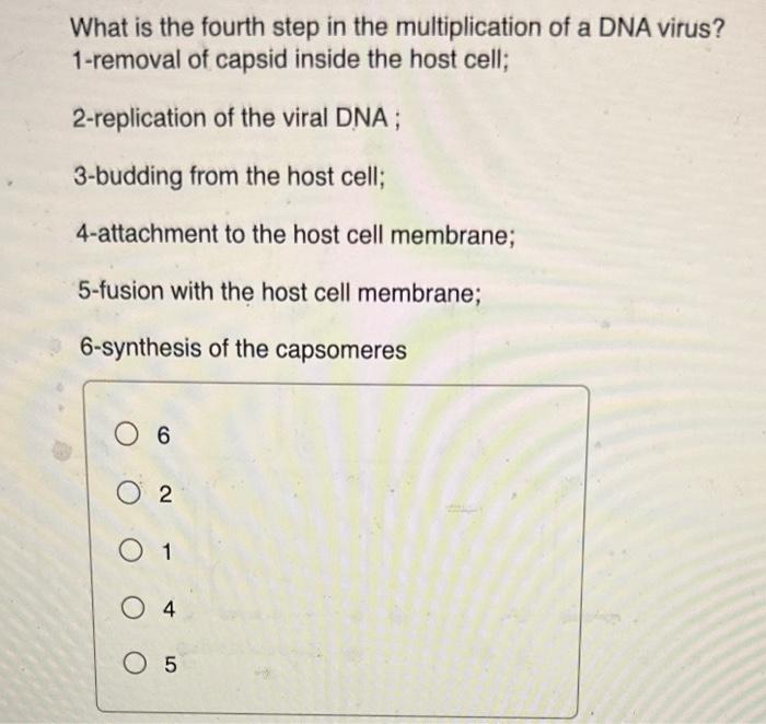Solved What is the fourth step in the multiplication of a | Chegg.com