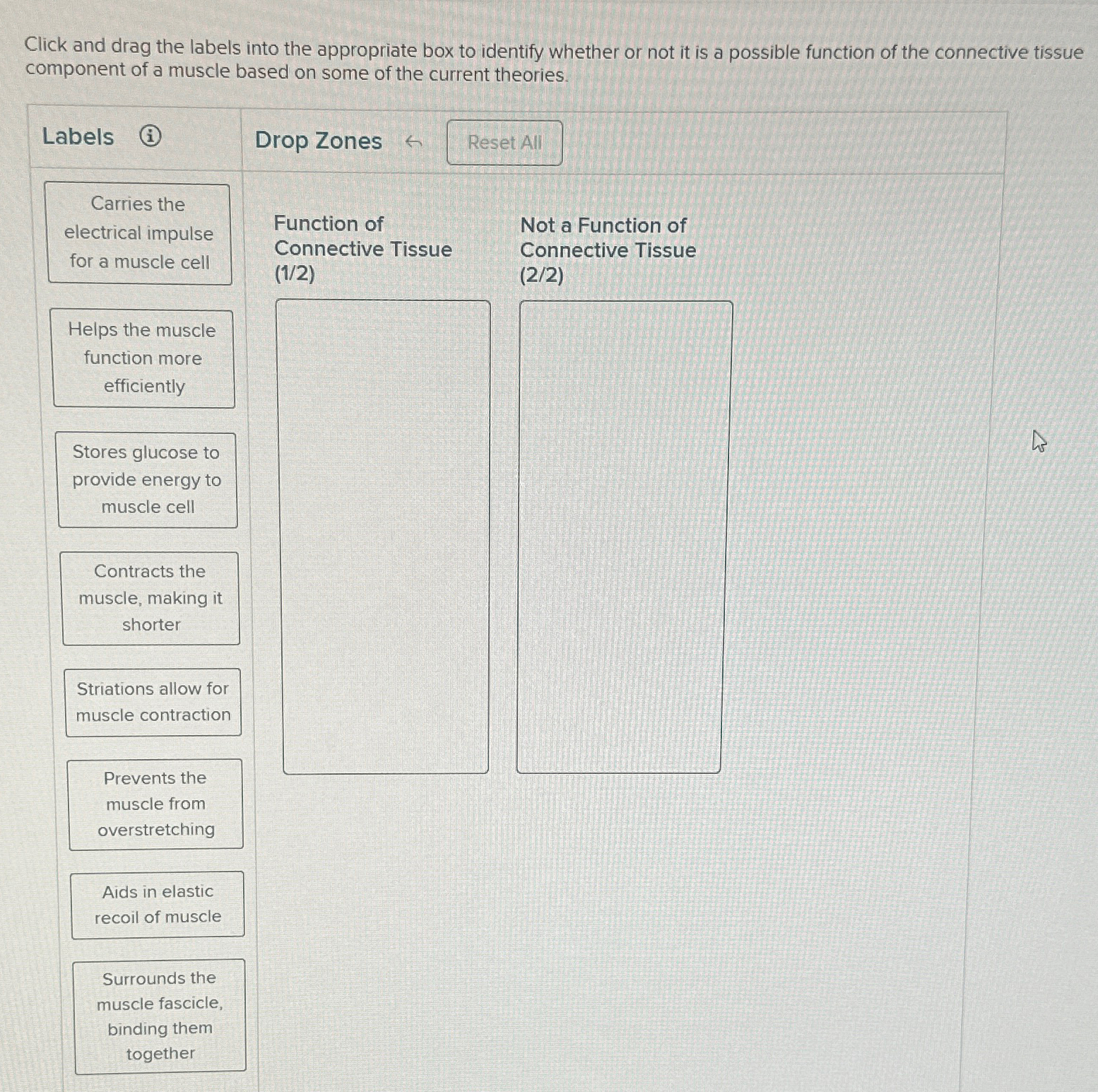 Solved Click and drag the labels into the appropriate box to | Chegg.com