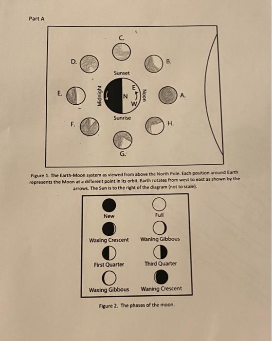 Solved Match the phase of the moon with its position in | Chegg.com