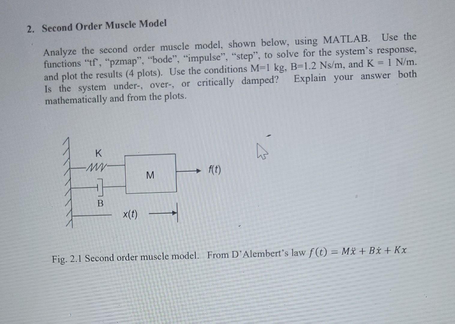 Solved 2. Second Order Muscle Model Use the Analyze the | Chegg.com