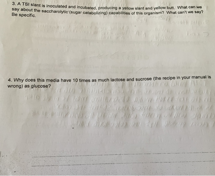 Solved 3. A TSI slant is inoculated and incubated, producing | Chegg.com