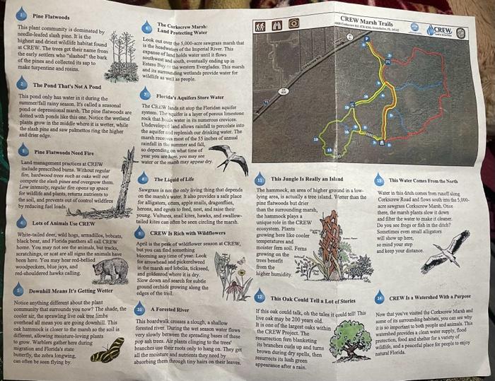 Solved Describe one thing you’d like to learn more about | Chegg.com