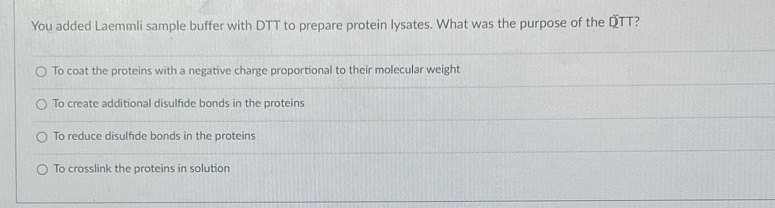 Solved You added Laemmli sample buffer with DTT to prepare | Chegg.com