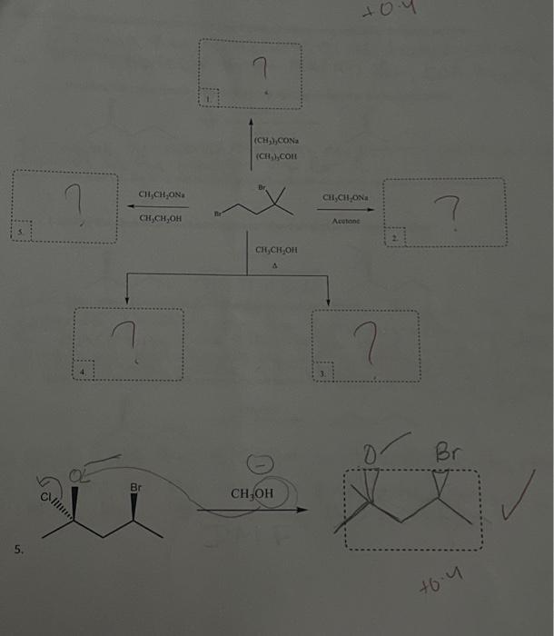 Solved what rhe reaction structire for the 5 in this web | Chegg.com Solved what rhe reaction structire for the 5 in this web | Chegg.com