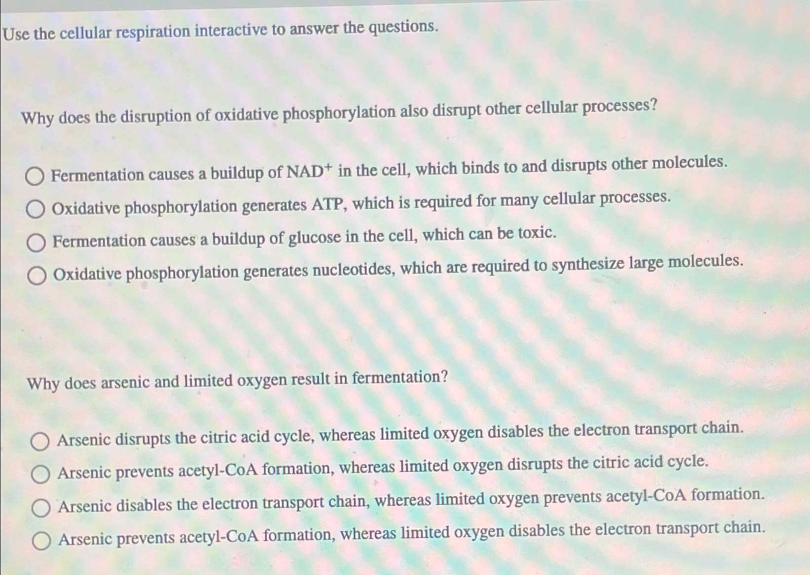 Solved Use the cellular respiration interactive to answer | Chegg.com