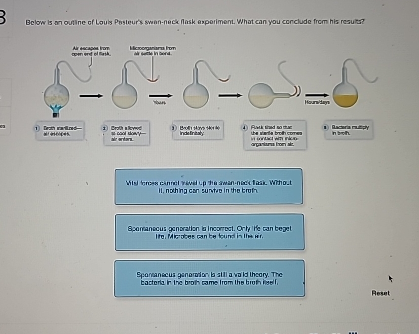 Solved Below is an outline of Louls Pasteur's swan-neck | Chegg.com