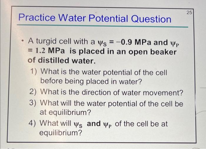 Solved - A turgid cell with a ψS=−0.9MPa and ψP =1.2MPa is | Chegg.com