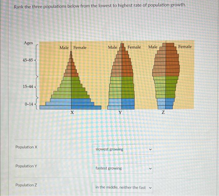 Solved Rank the three populations below from the lowest to | Chegg.com