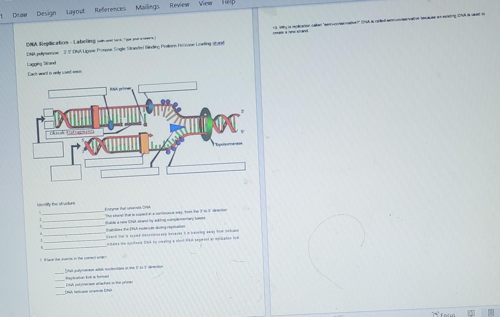 Solved 10. Why is replication called "temt-coneenabive? DNA | Chegg.com