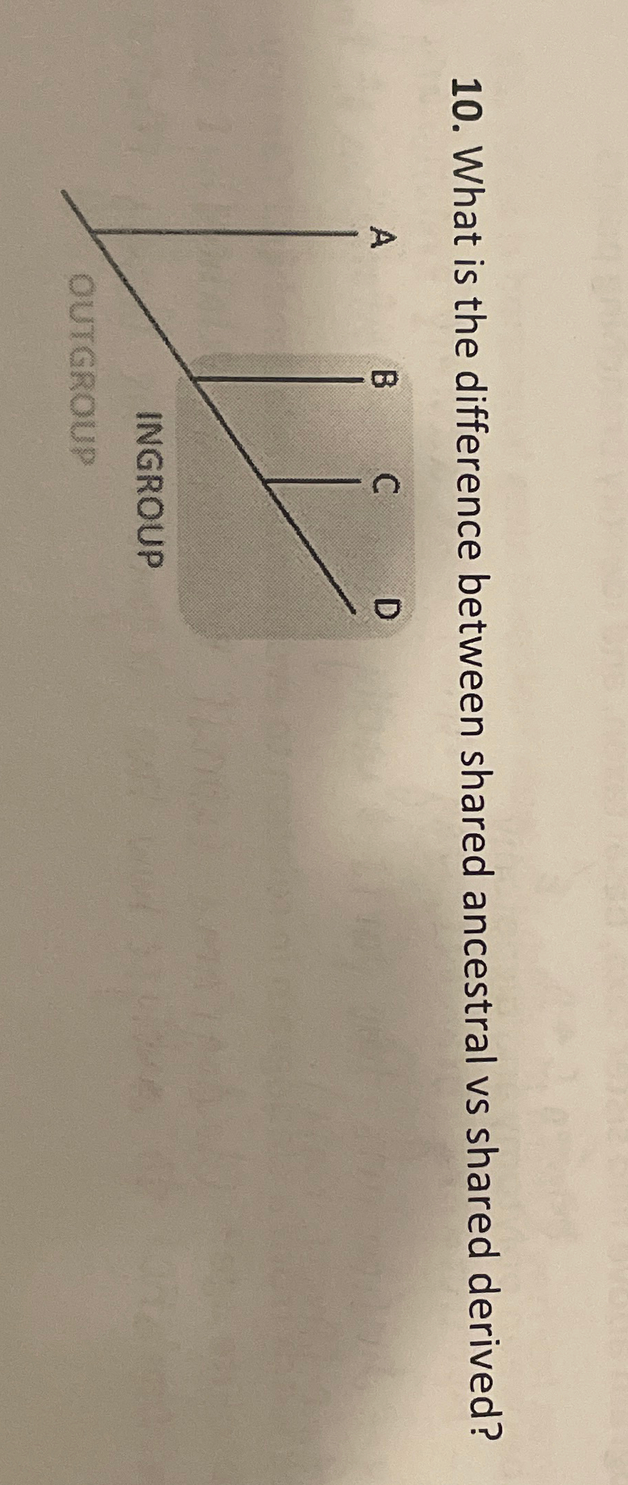 Solved What is the difference between shared ancestral vs | Chegg.com