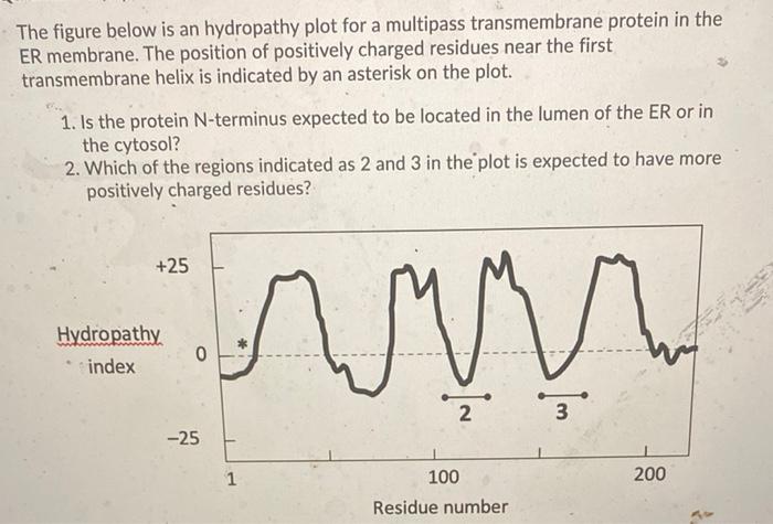 Solved The figure below is an hydropathy plot for a | Chegg.com